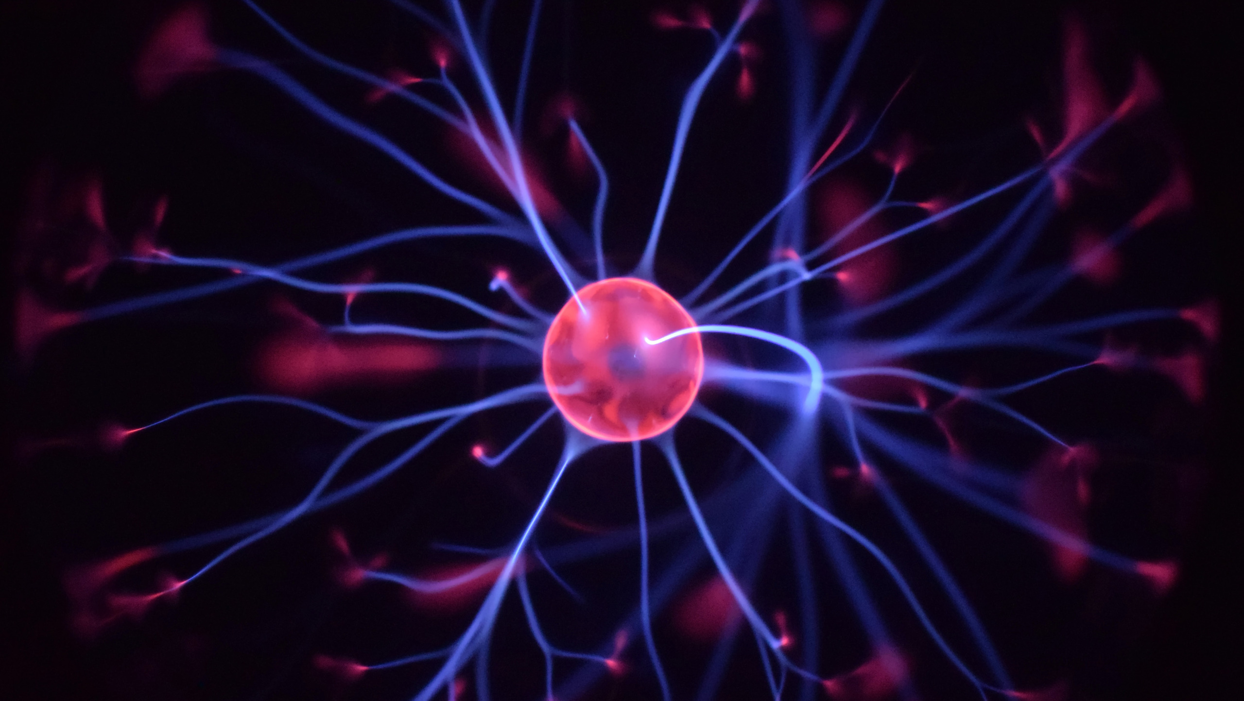 Schilders sygdom | Scleroseforeningen